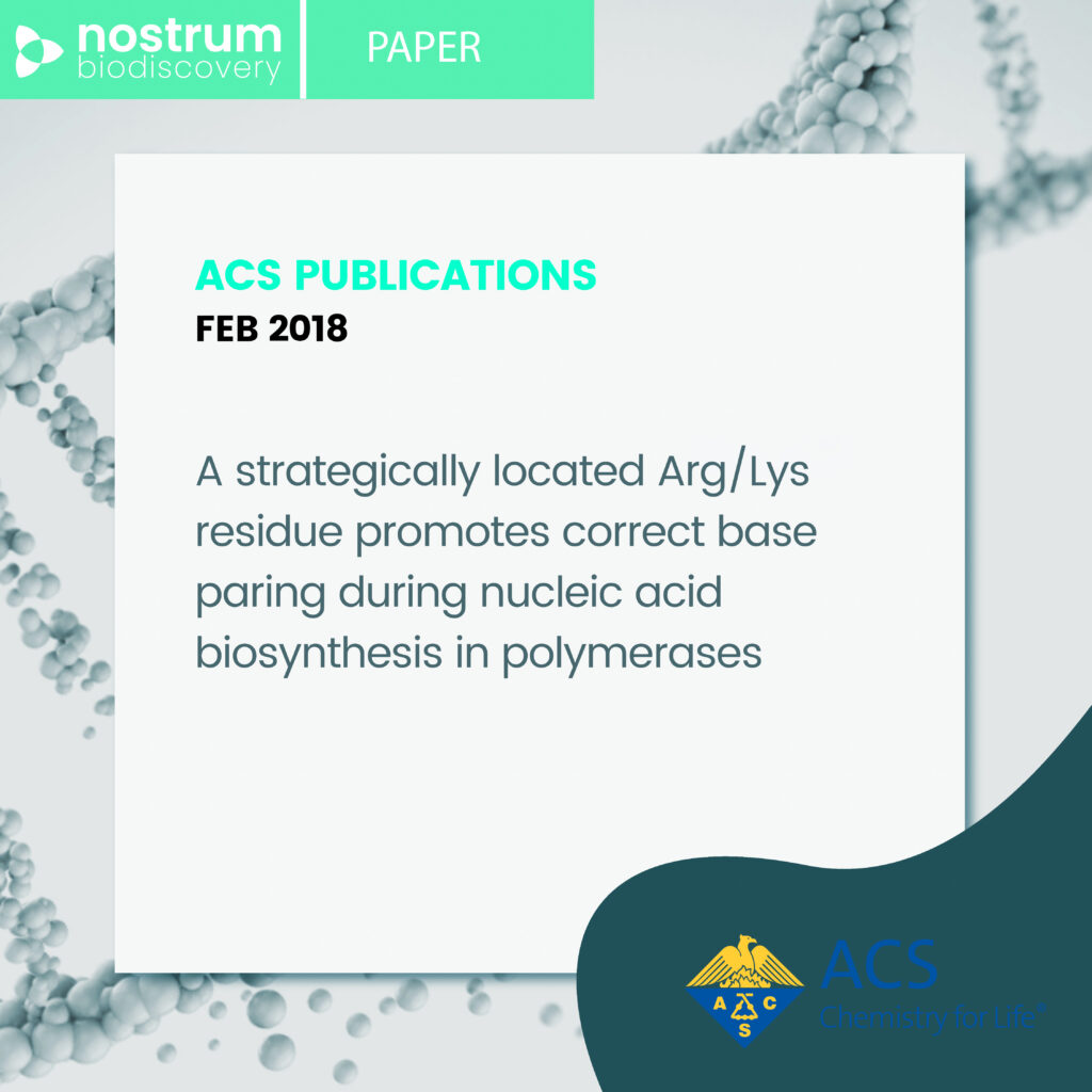 A Strategically Located Arg/Lys Residue Promotes Correct Base Paring ...