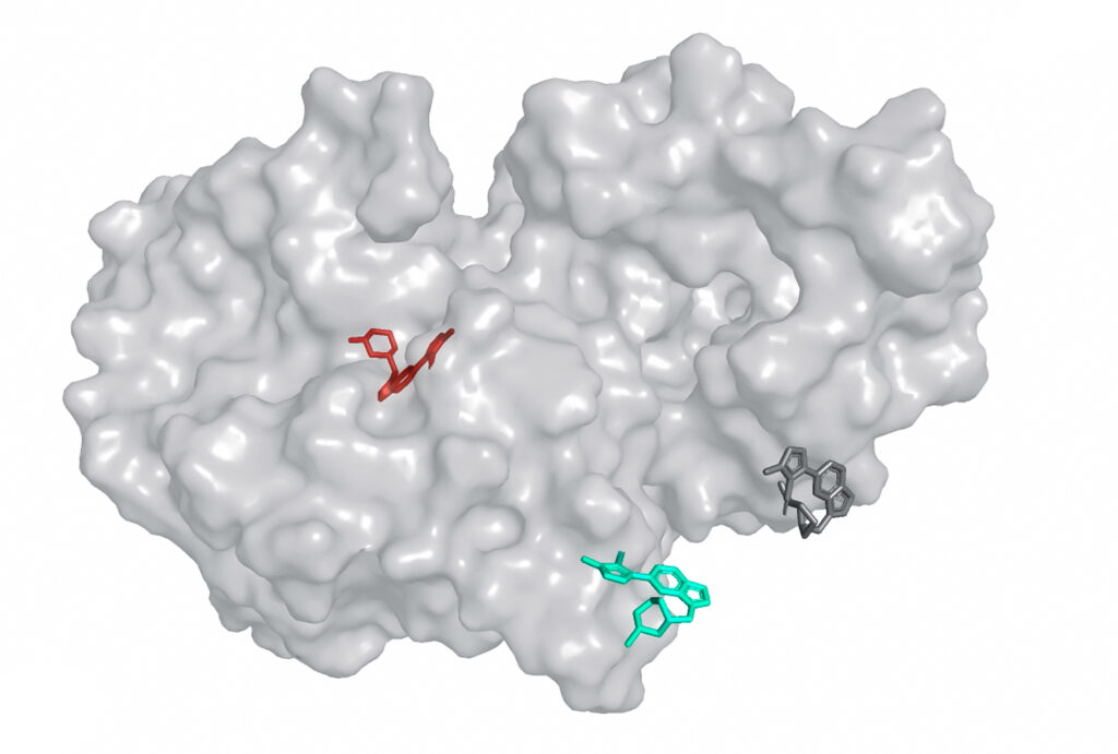 GeoDirDock (GDD): our new diffusion model for directed docking ...